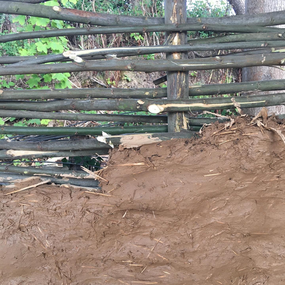 Digital Landscaping Guide - How to Build a Wattle & Daub Wall - PDF Do ...